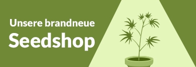 Headshop - Smartshop - Seedshop - Healthshop | Dutch Headshop